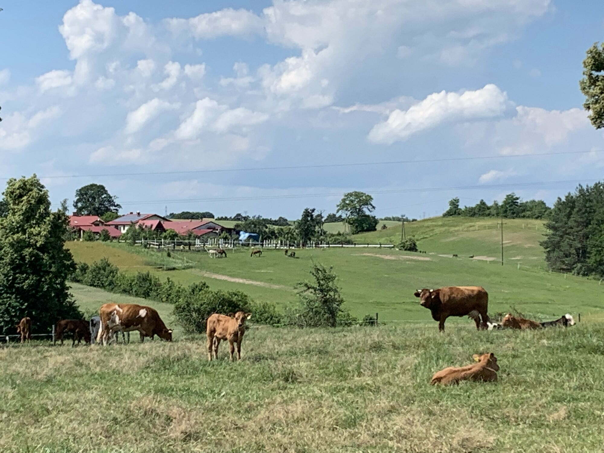 Agroturystyka Toskania Kociewska Agroturystyka Toskania Kociewska