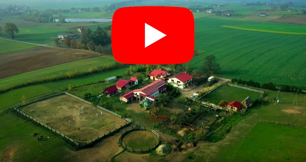 Toskania Kociewska Gospodarstwo Ekologiczne Ze Zwierz tami toskania-kociewska-gospodarstwo-ekologiczne-ze-zwierz-tami